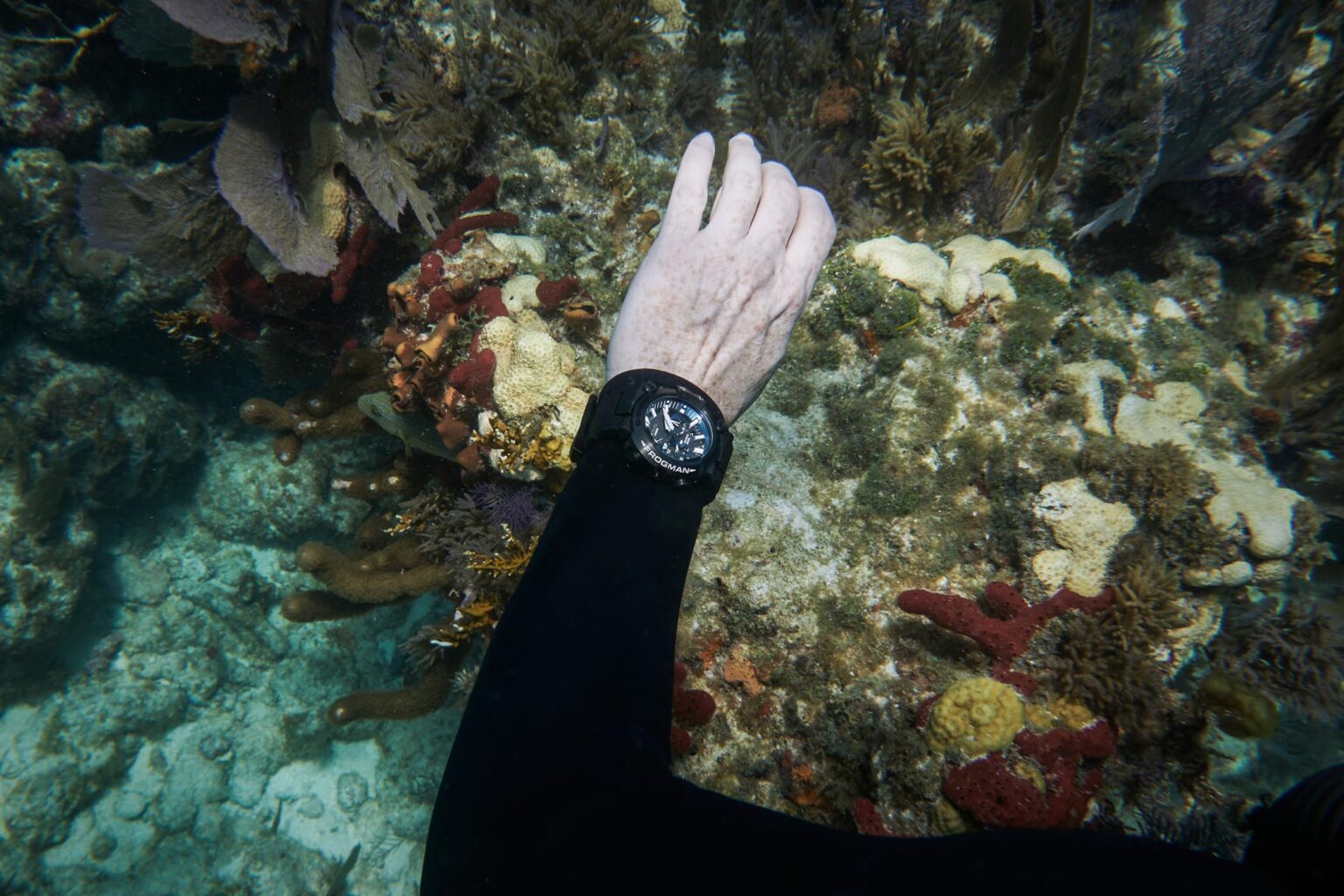Review: Diving With The Casio G-Shock Frogman MRG-BF1000R