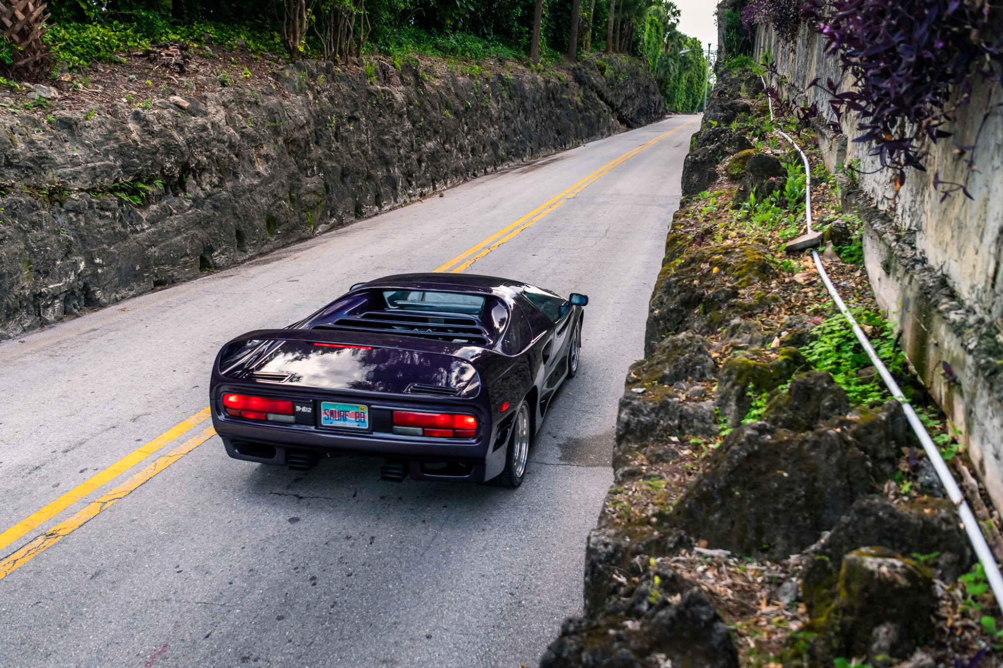 The Petrolhead Corner: The Remarkable Story Of Vector Motors