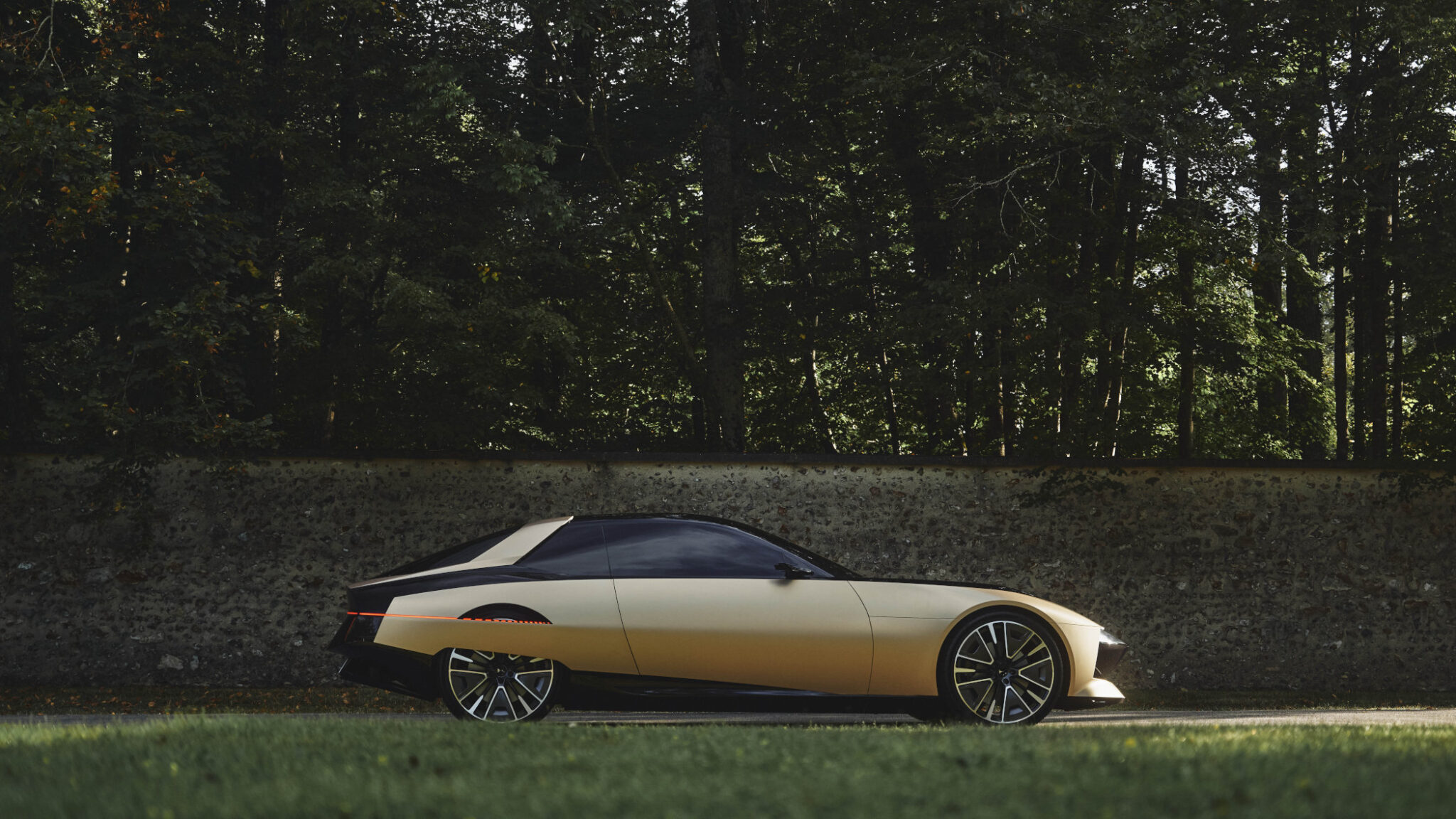 The Petrolhead Corner: The Fabulous DS SM Tribute