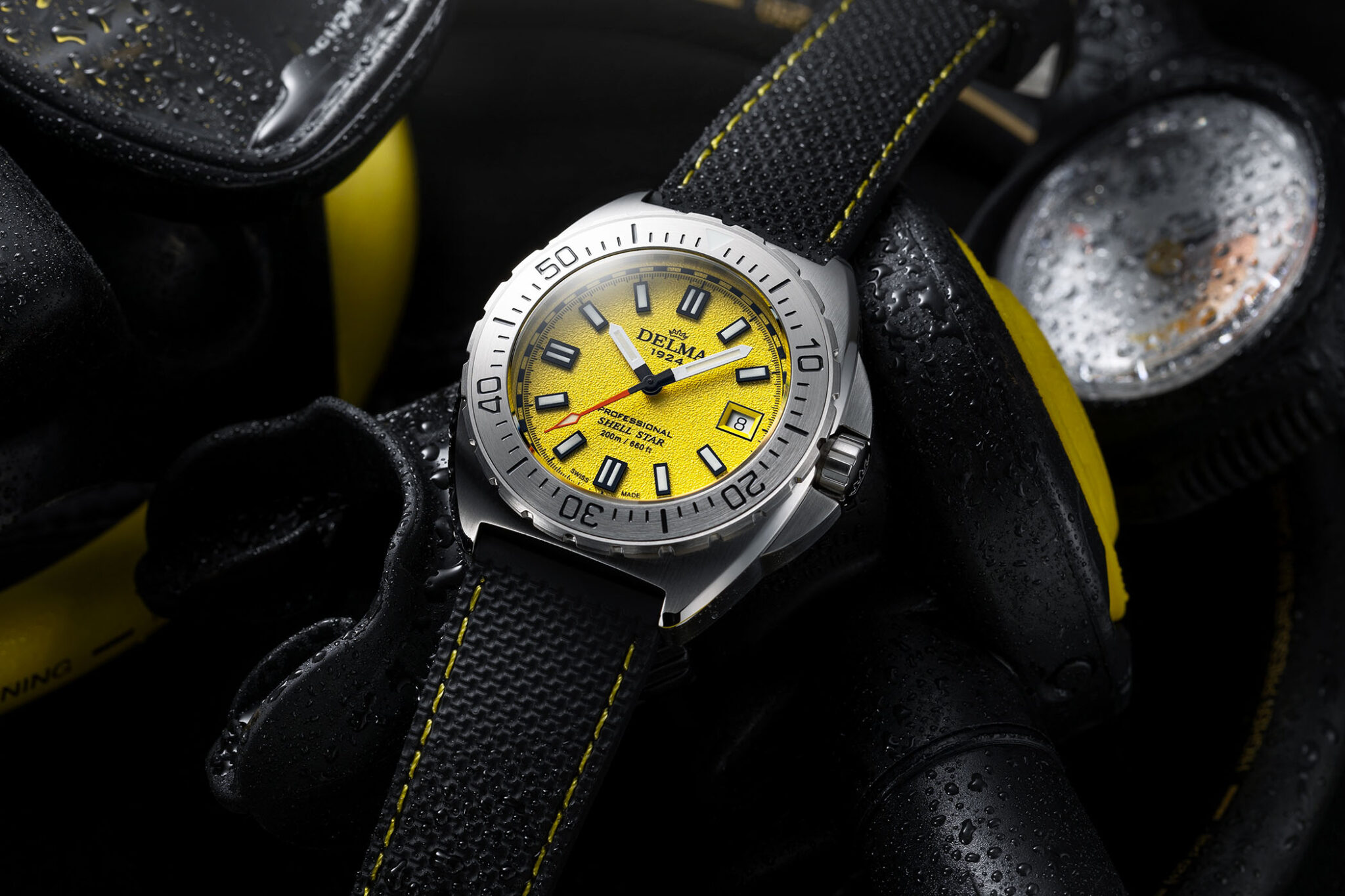 Introducing: The Steel Delma Shell Star Automatic, now in 41mm