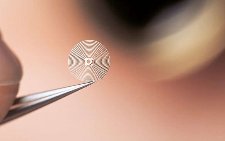 A Technical Perspective - A Guide To The Hairspring