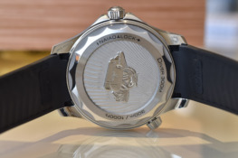 Hands-On - Omega Seamaster Diver 300M Nekton Edition (Price)