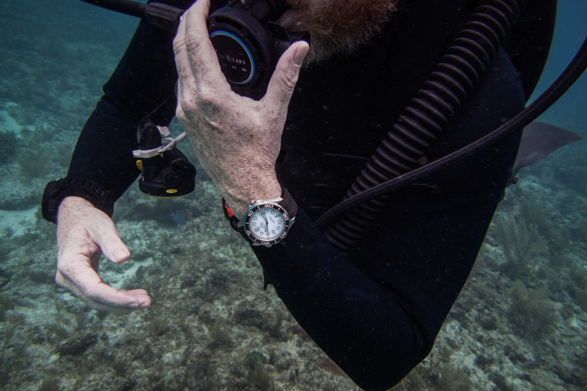 Omega Seamaster Diver 300M - Underwater Dive Review (Specs & Price)