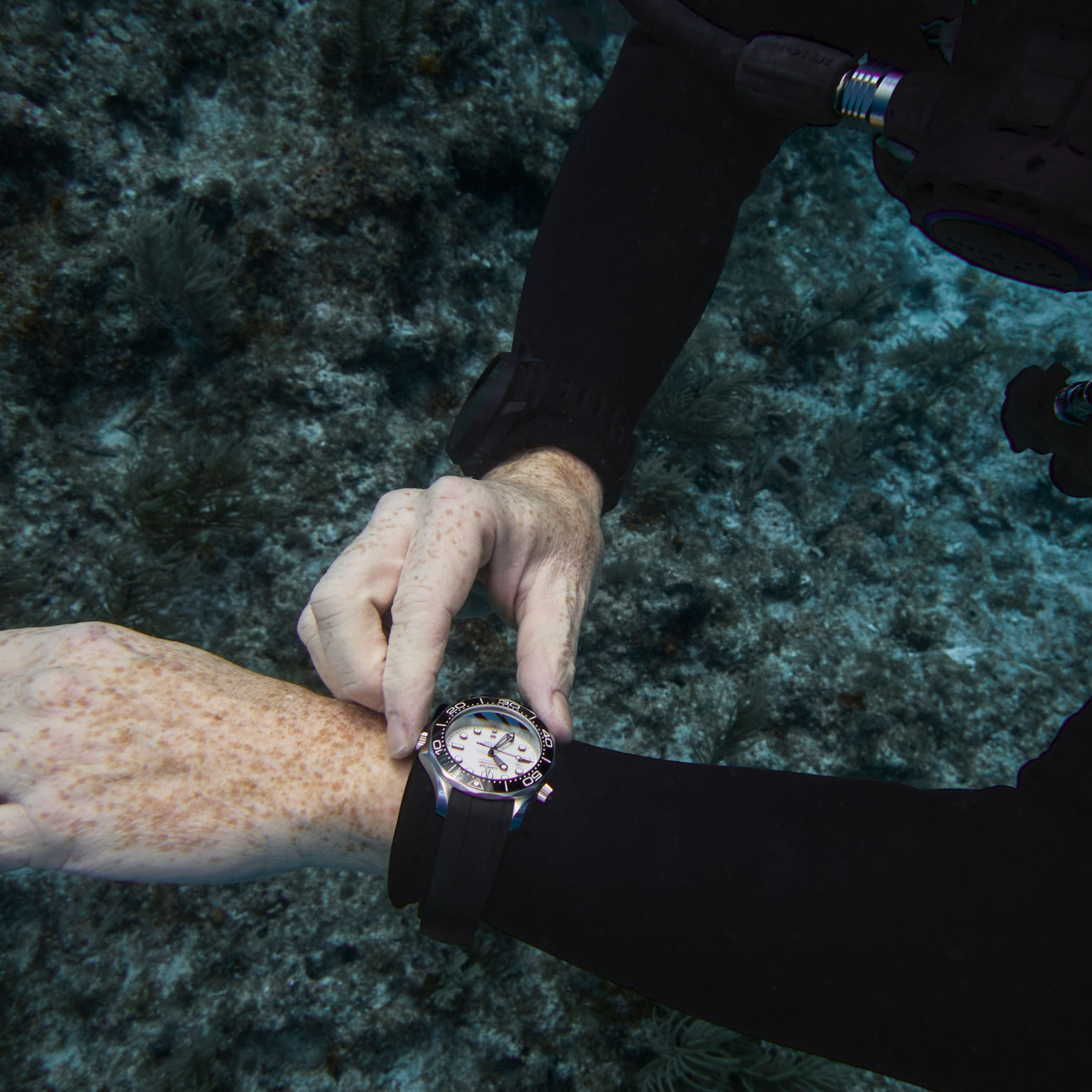Omega Seamaster Diver 300M - Underwater Dive Review (Specs & Price)