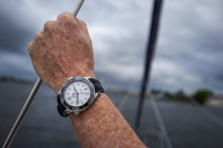 Omega Seamaster Diver 300M - Underwater Dive Review (Specs & Price)