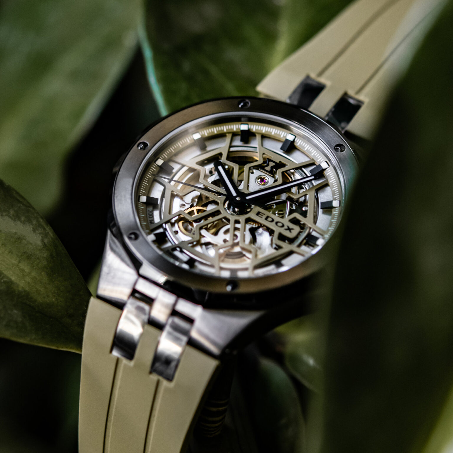Introducing - The new Edox Delfin Mecano Automatic