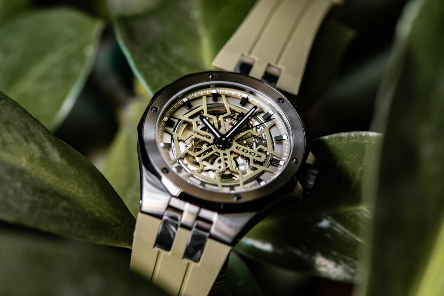 Introducing - The new Edox Delfin Mecano Automatic