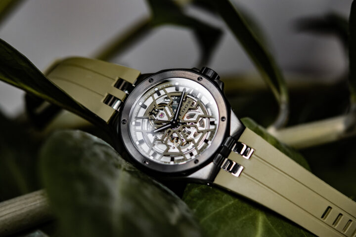 Introducing - The new Edox Delfin Mecano Automatic