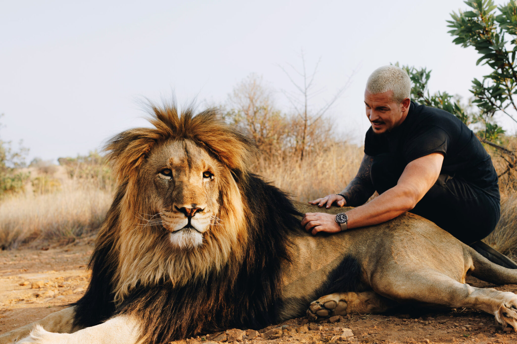 The New Norqain Wild One Hakuna Mipaka Limited Edition