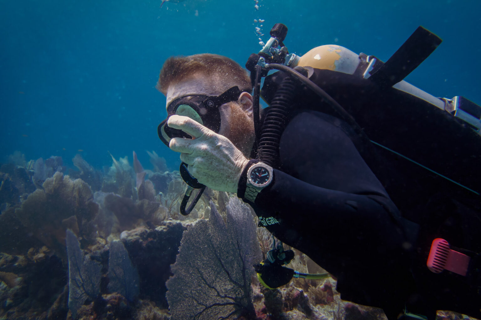 In-Depth: Diving with the Sinn U50, The Smaller German Diving Instrument