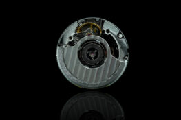 In-Depth: The History of the 2892, ETA's Enduring Elite Movement