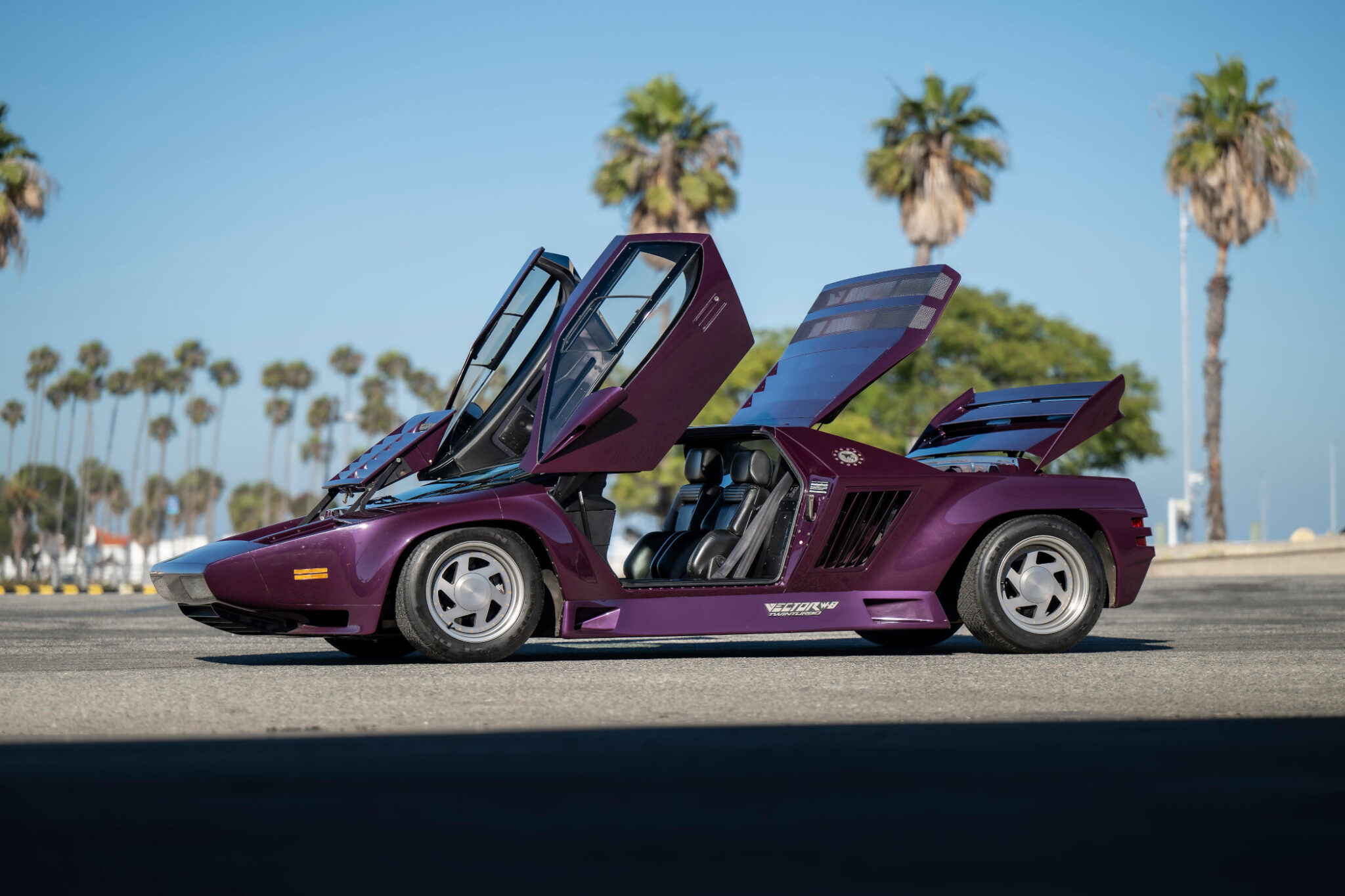 The Petrolhead Corner: The Remarkable Story Of Vector Motors